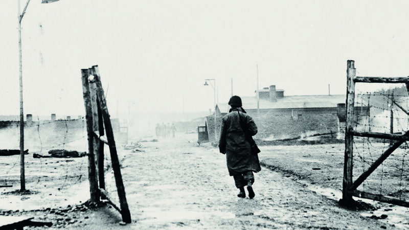 Life After Liberation - Holocaust Survivors in Post-War Germany - PIK Film
