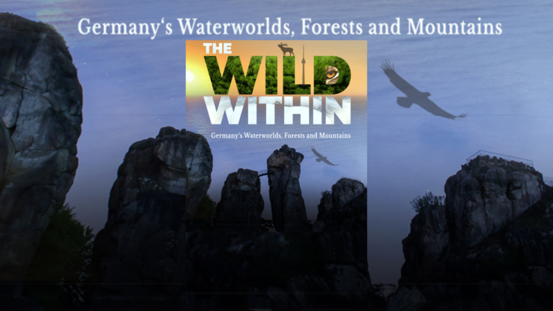 The Wild Within - PIK Film